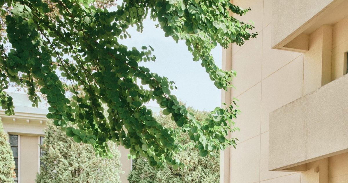 ILLIT、新曲「Cherish (My Love)」MVが公開から約16時間で1,000万回再生突破 – THE FIRST TIMES