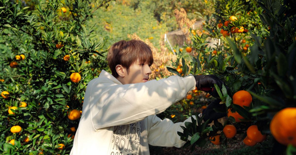 Nissy、『ANAあきんど×Nissy地域創生プロジェクト』を始動！ 第1弾としてANA『農園プロジェクト』を紹介 – 画像一覧（3/6 ...