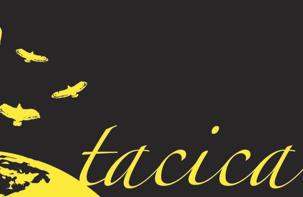 tacica、初ベストアルバム『dear, deer』をリリース！ 廃盤インディーズ音源も配信開始 – 画像一覧（1/5） – THE ...